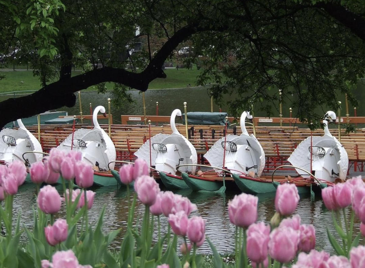 Swan Boats Opening Day 2023